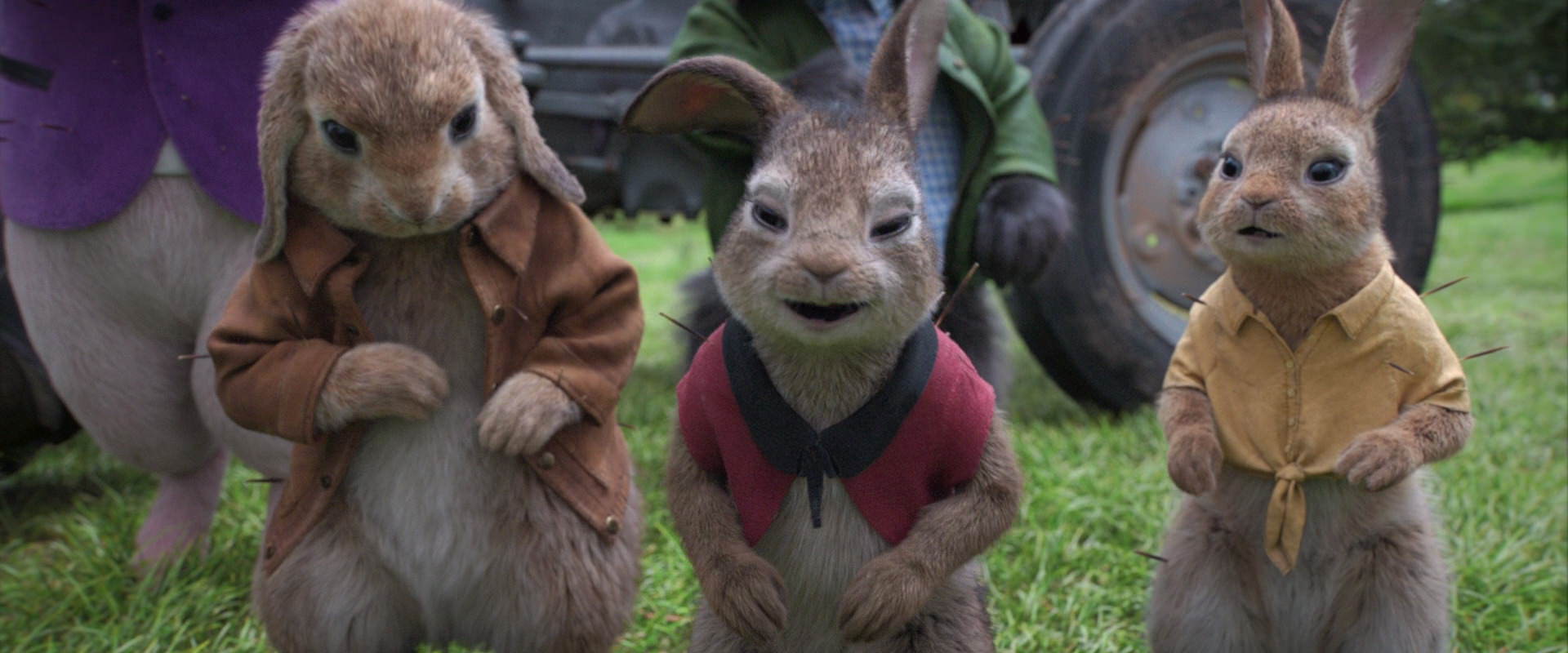 Peter Rabbit (2018) - Animation Screencaps.com