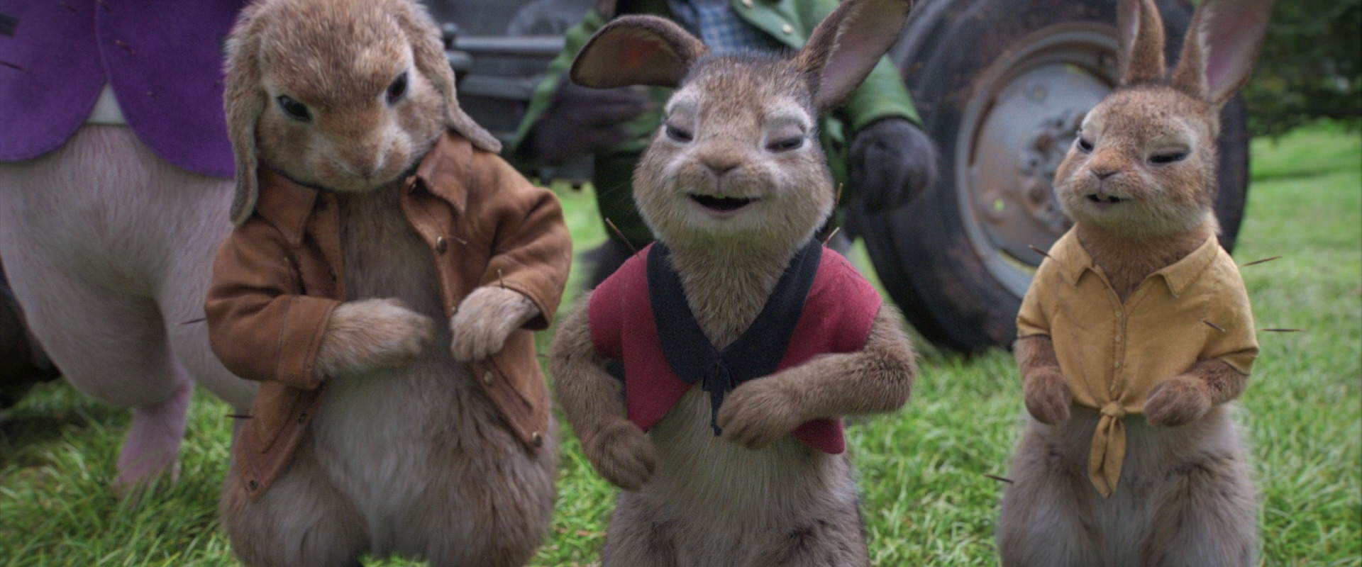 Peter Rabbit (2018) - Animation Screencaps.com