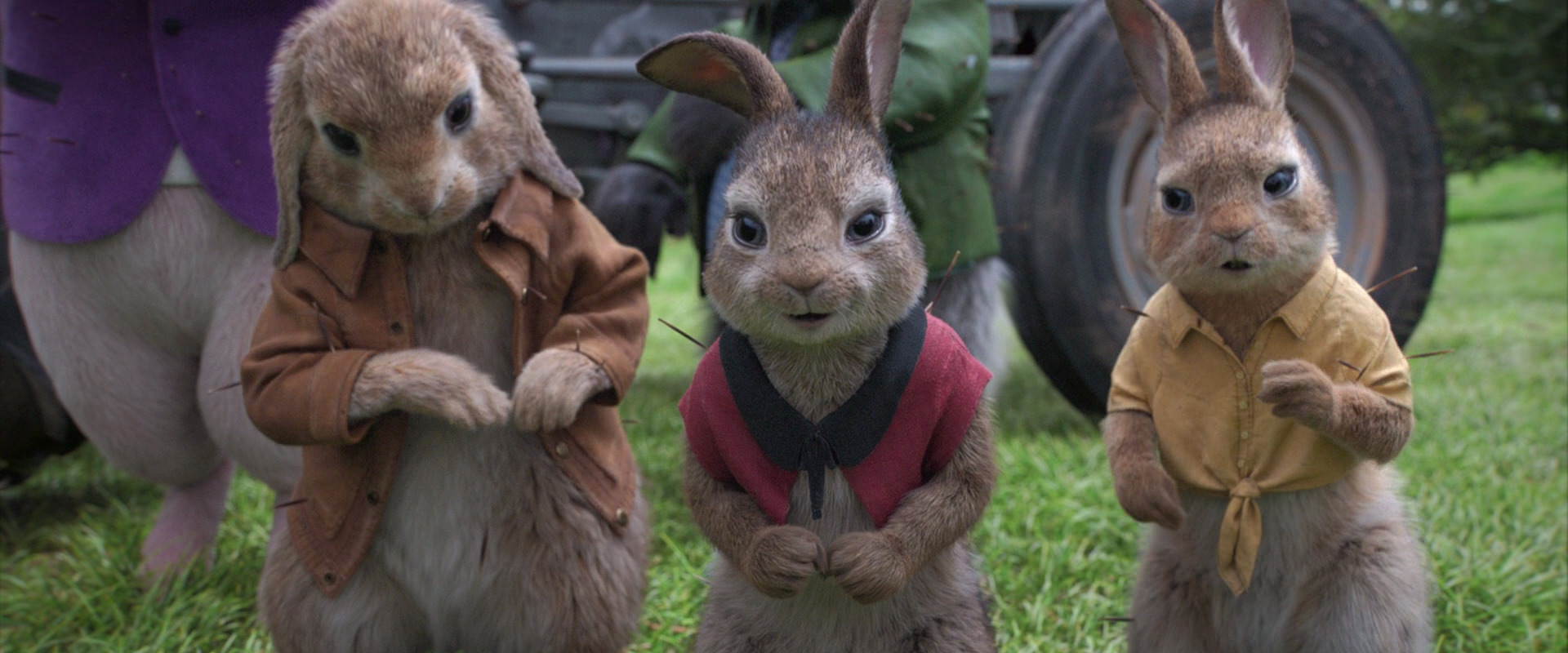 Peter Rabbit (2018) - Animation Screencaps.com