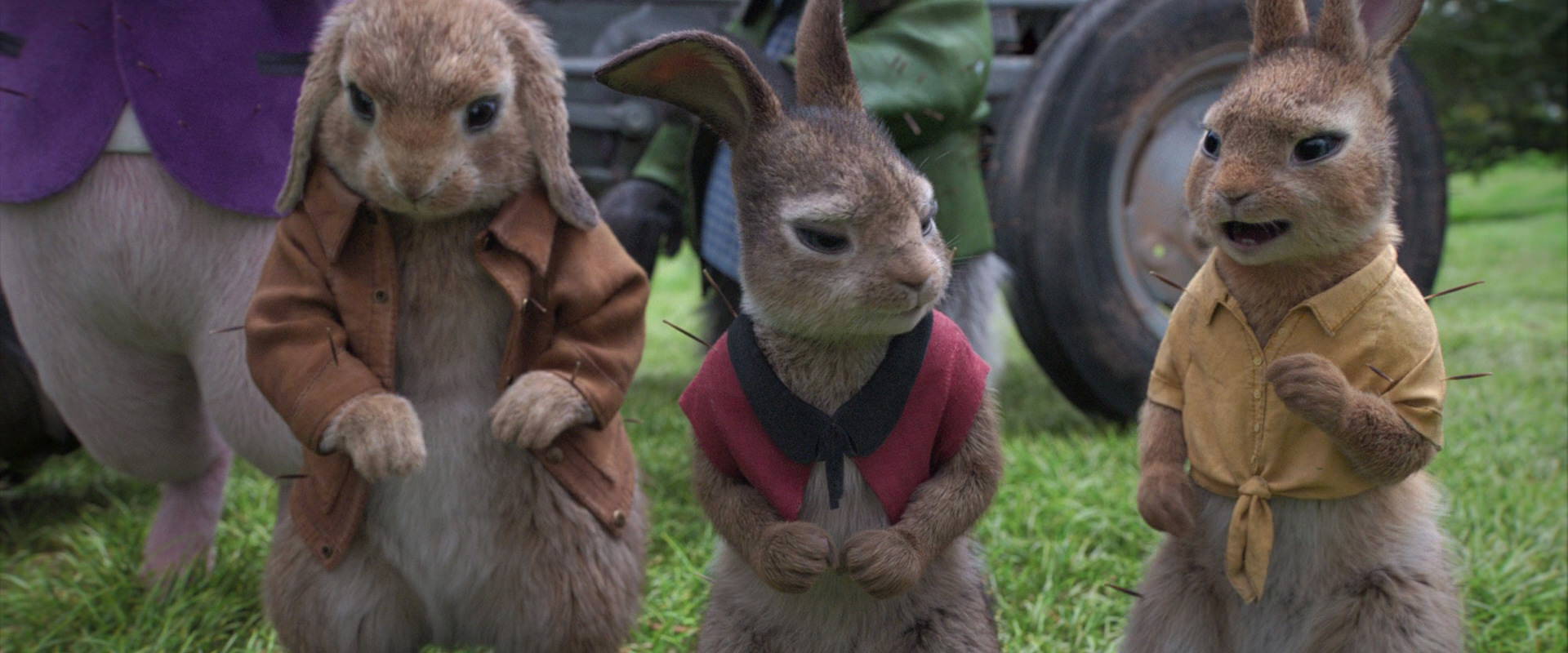 Peter Rabbit (2018) - Animation Screencaps.com