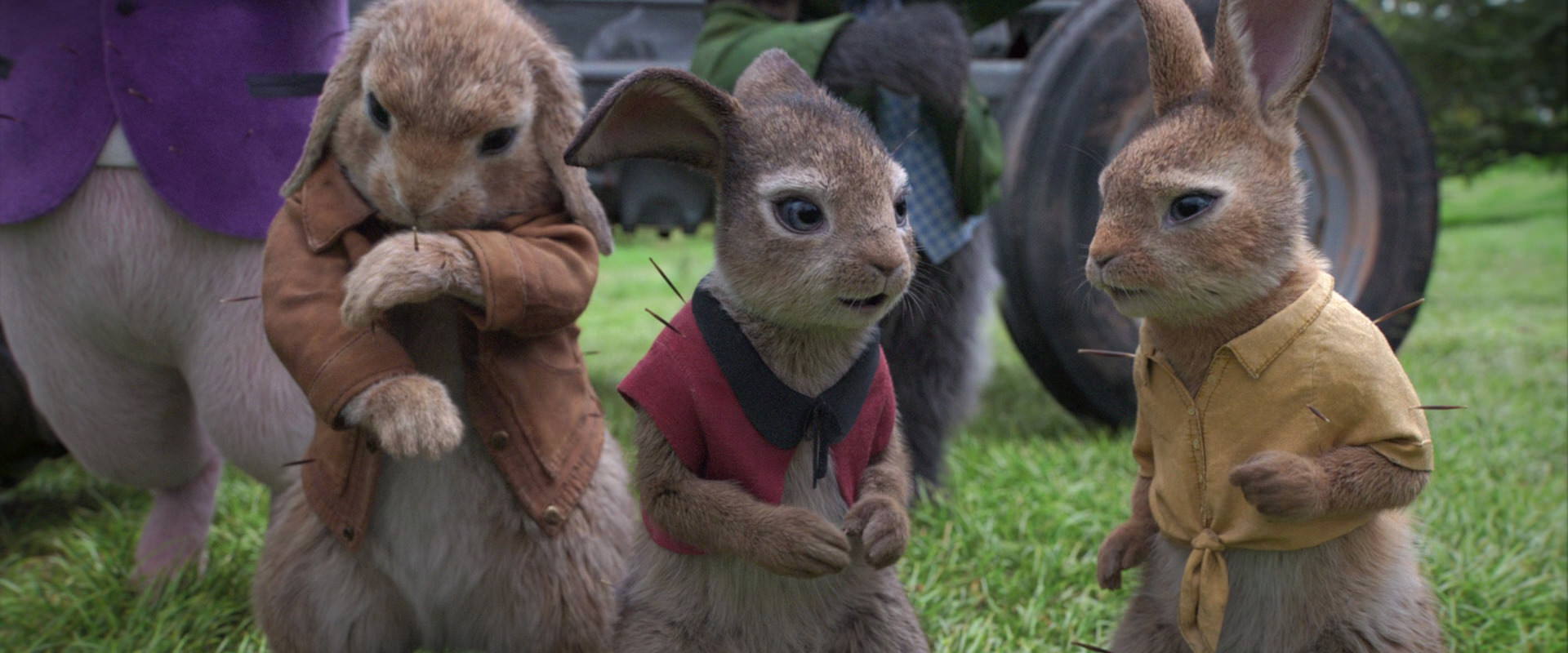 Peter Rabbit (2018) - Animation Screencaps.com