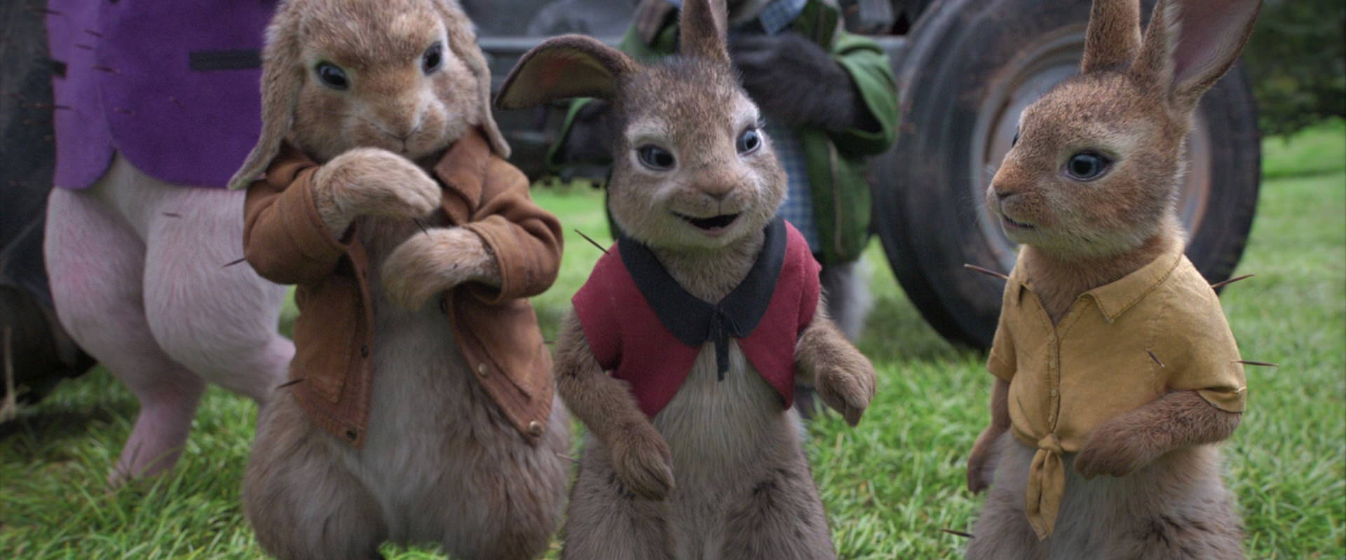 Peter Rabbit (2018) - Animation Screencaps.com