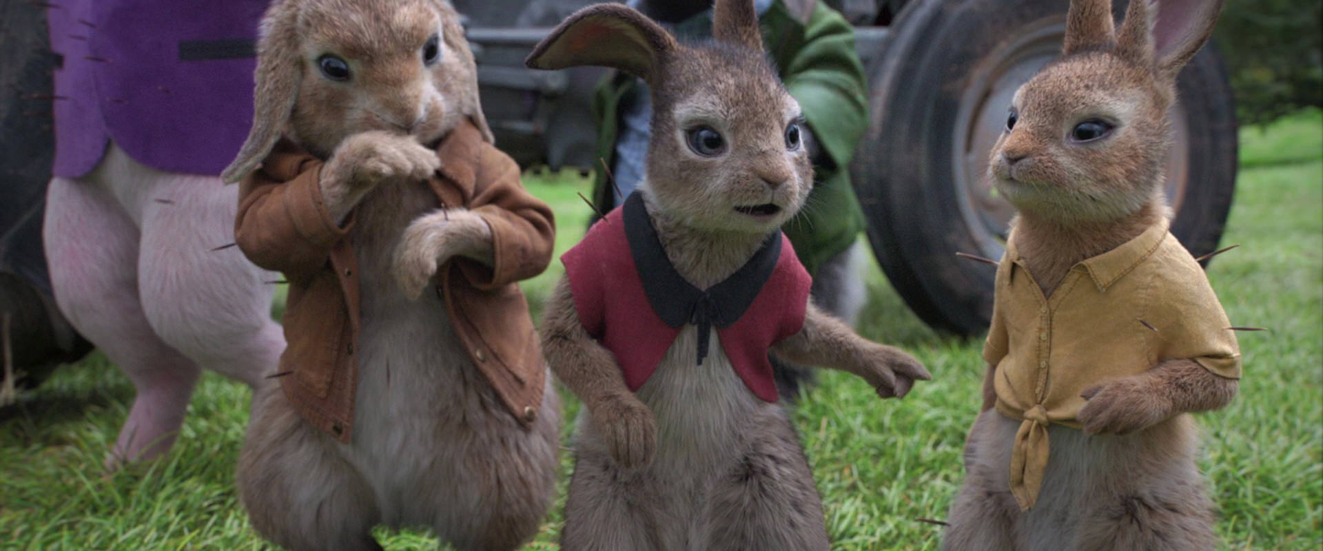 Peter Rabbit (2018) - Animation Screencaps.com