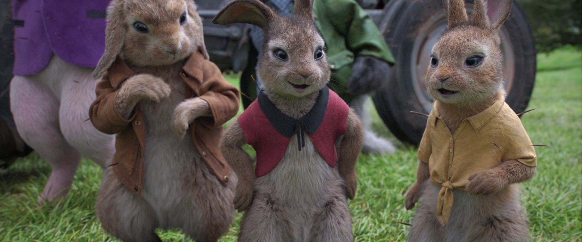 Peter Rabbit (2018) - Animation Screencaps.com