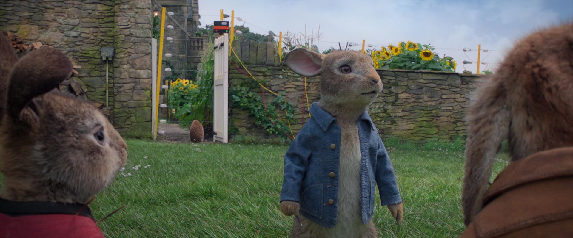 Peter Rabbit (2018) - Animation Screencaps.com