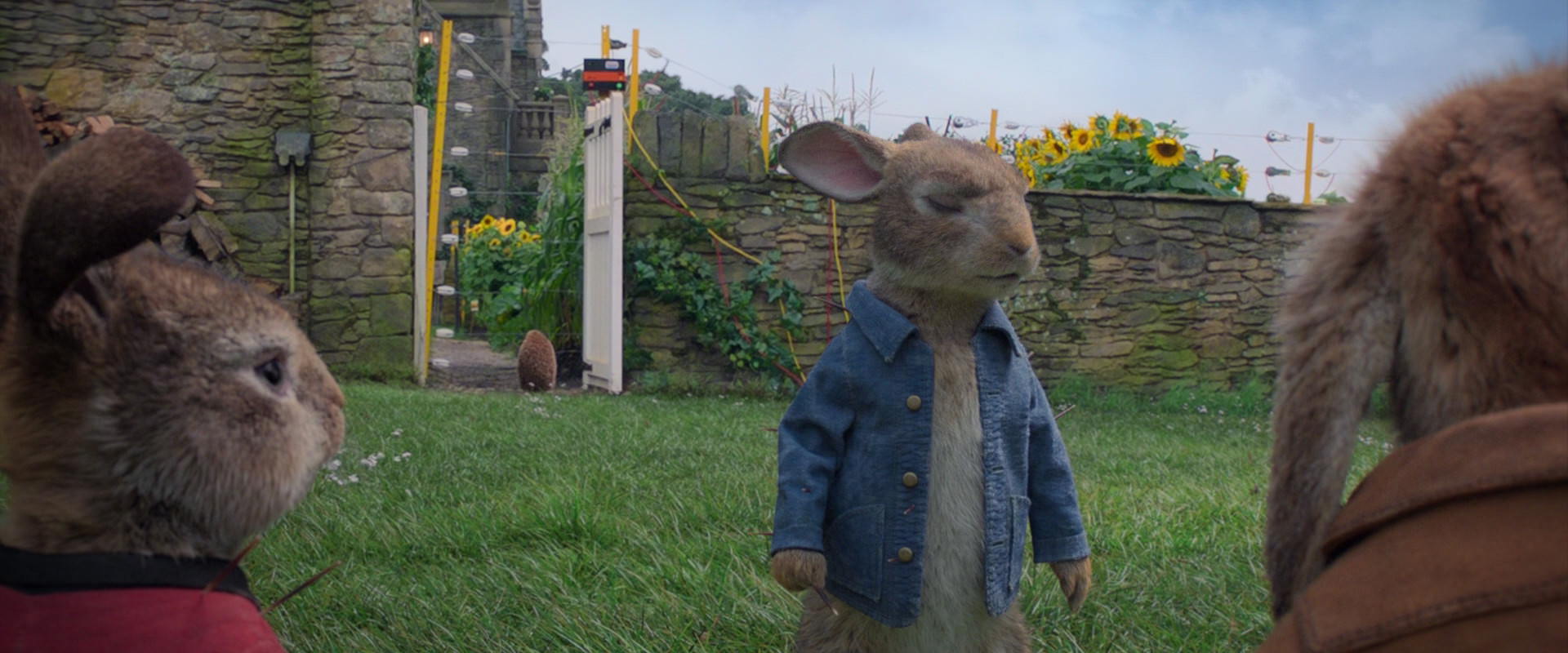Peter Rabbit (2018) - Animation Screencaps.com