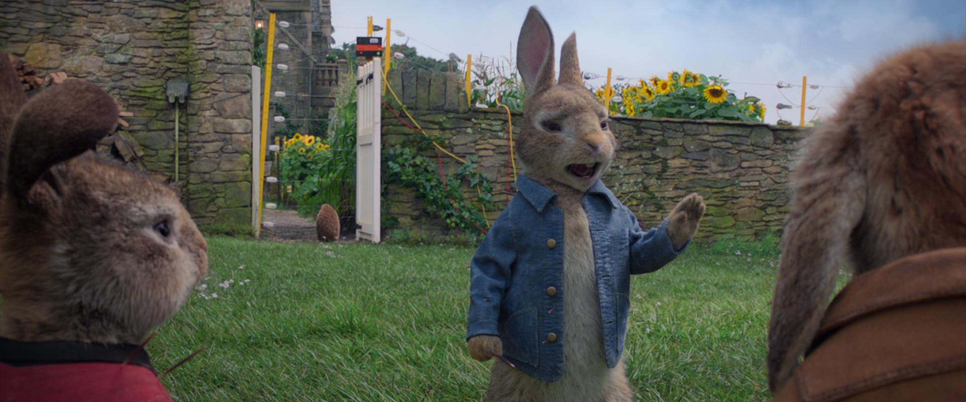 Peter Rabbit (2018) - Animation Screencaps.com
