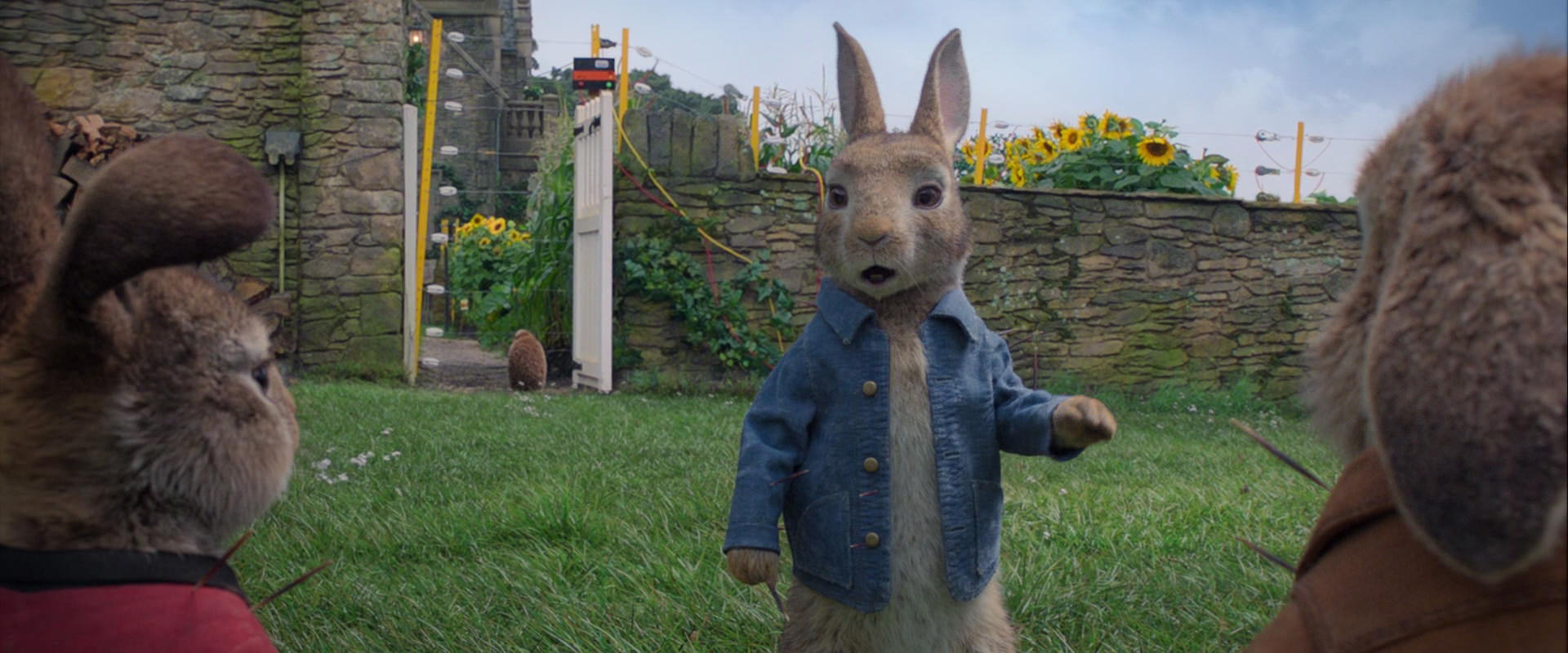Peter Rabbit (2018) - Animation Screencaps.com