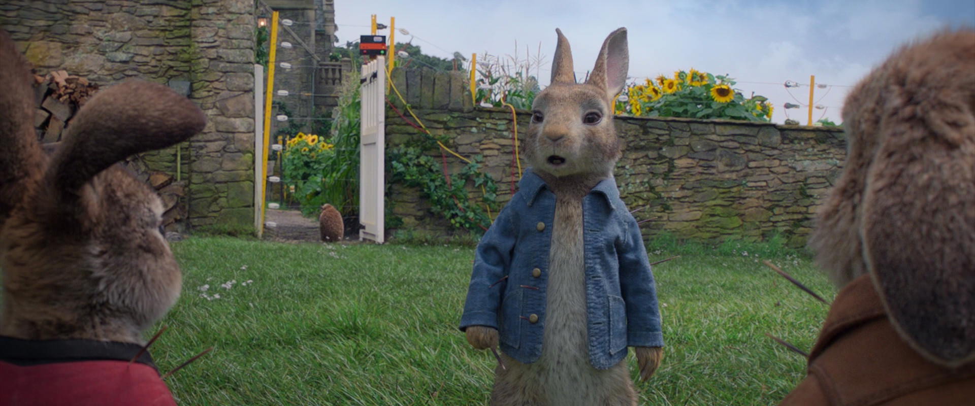 Peter Rabbit (2018) - Animation Screencaps.com
