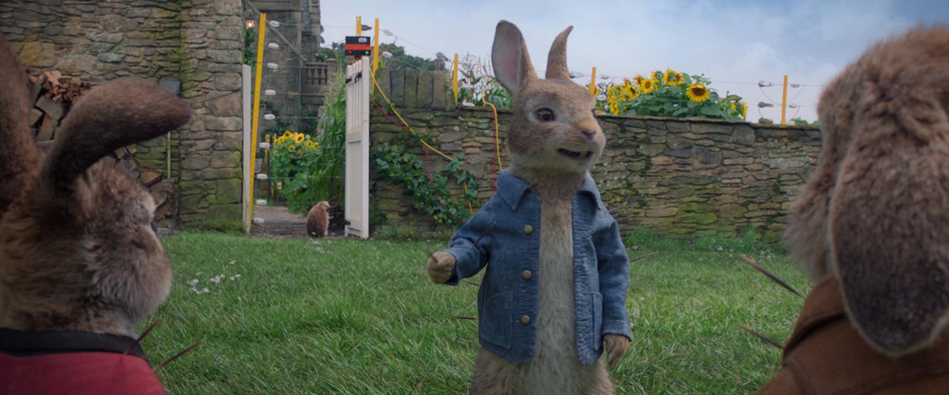 Peter Rabbit (2018) - Animation Screencaps.com