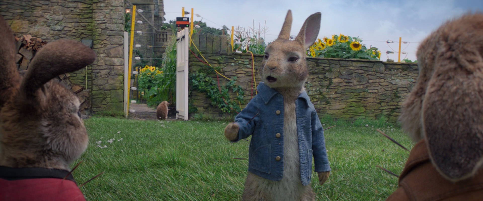 Peter Rabbit (2018) - Animation Screencaps.com