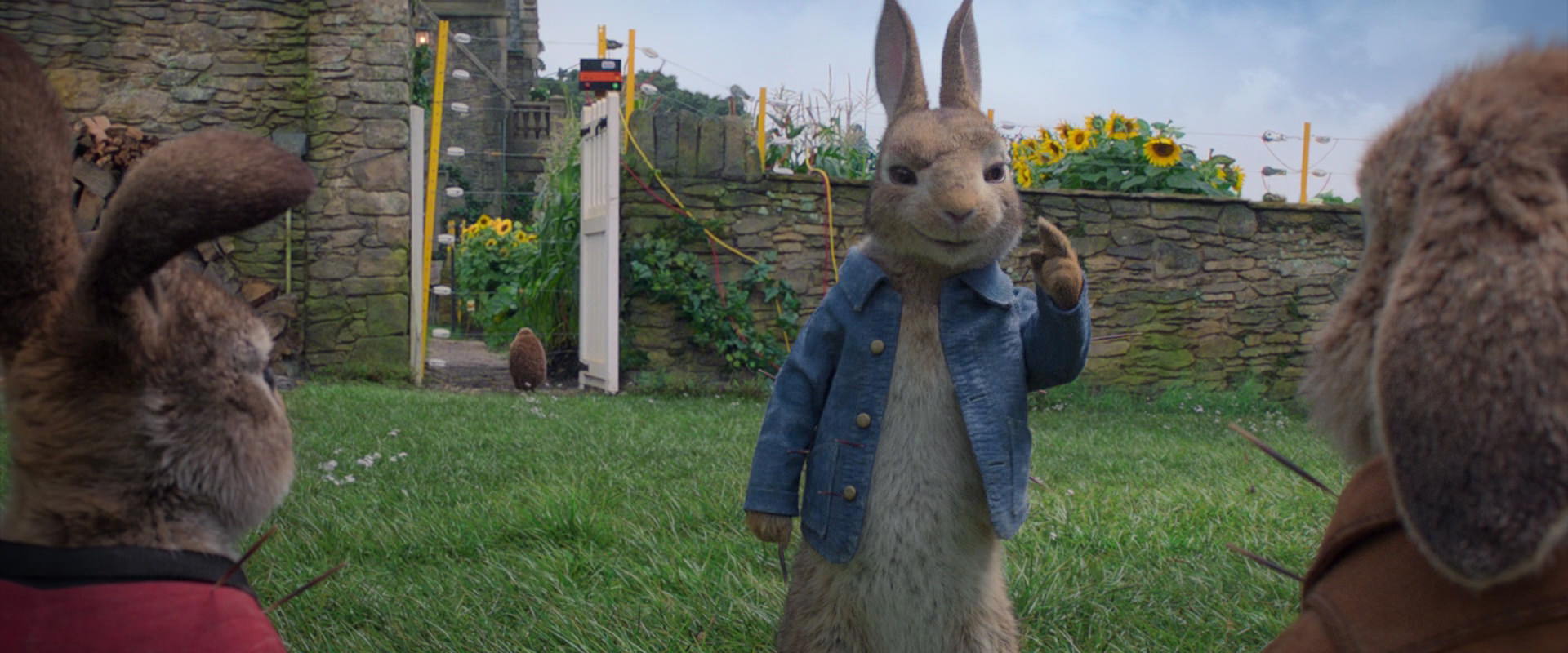 Peter Rabbit (2018) - Animation Screencaps.com