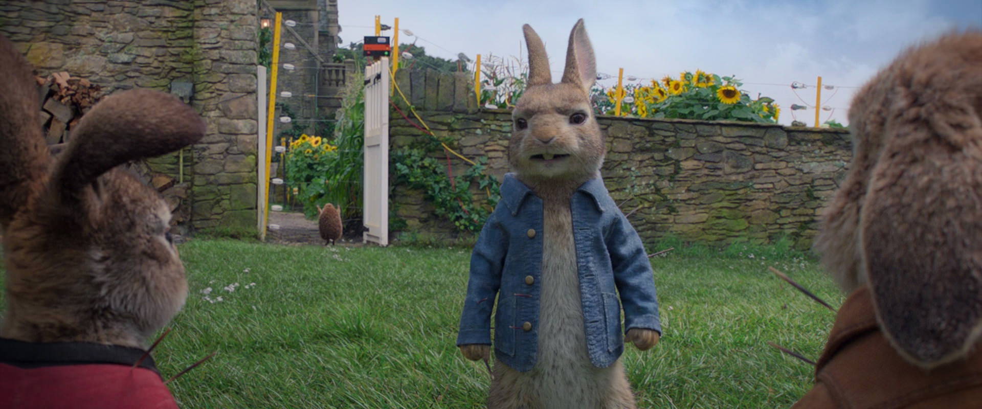 Peter Rabbit (2018) - Animation Screencaps.com