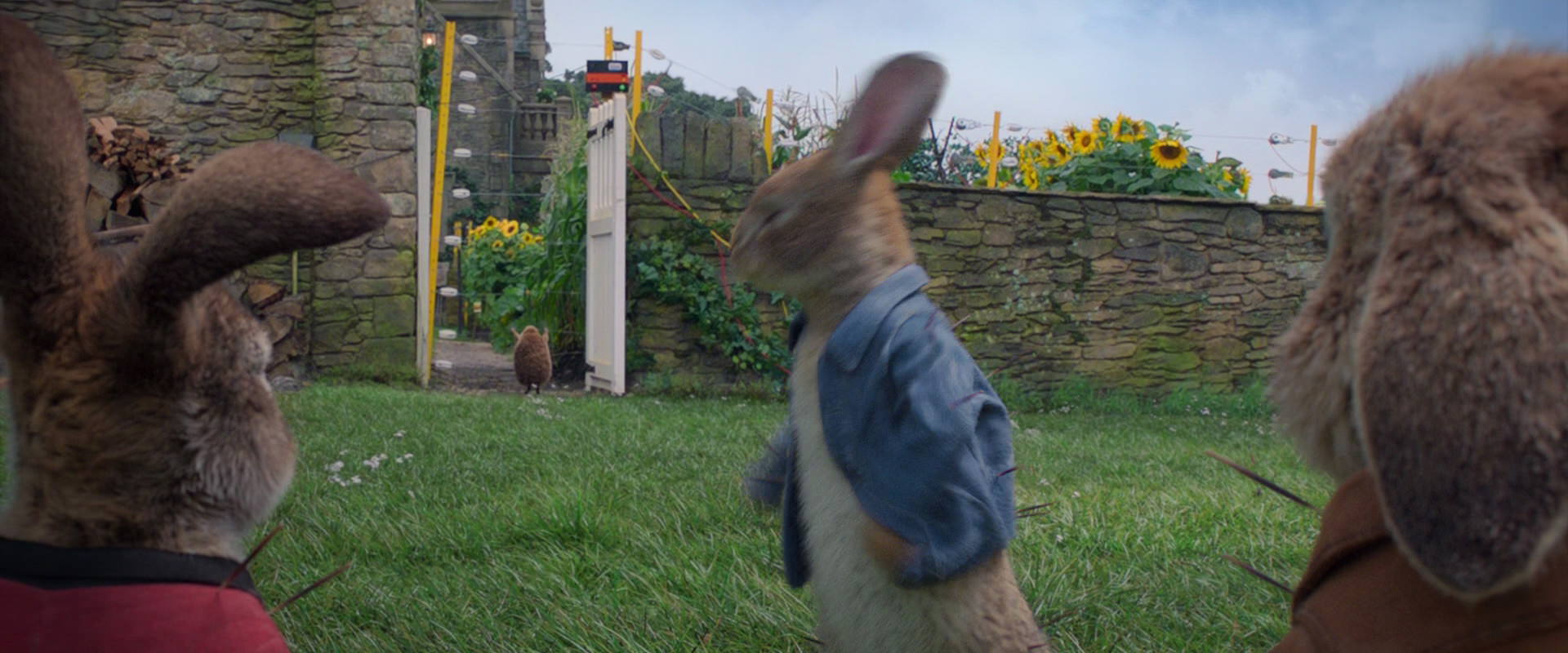 Peter Rabbit (2018) - Animation Screencaps.com