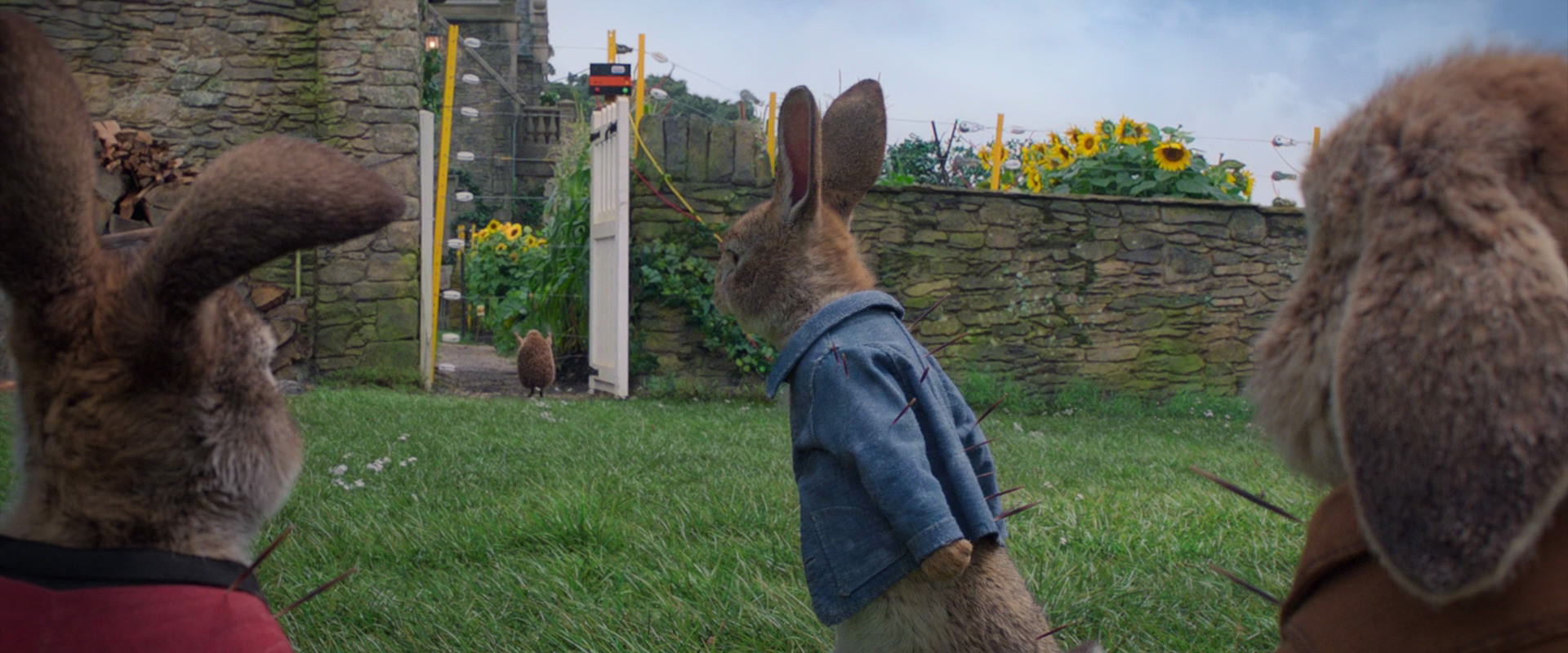 Peter Rabbit (2018) - Animation Screencaps.com