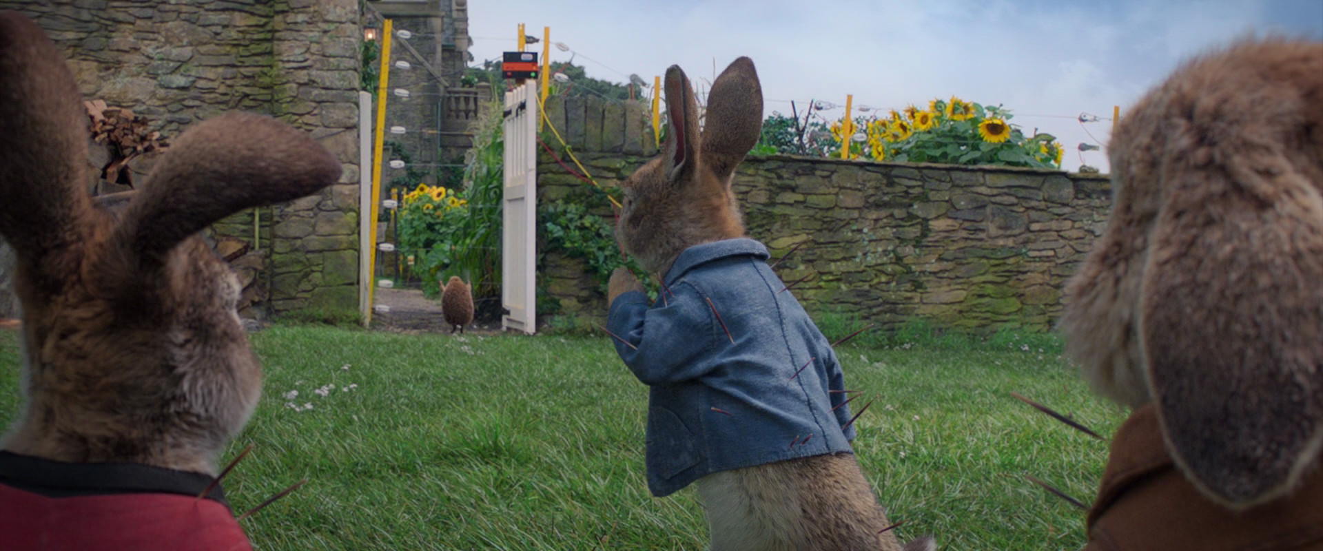 Peter Rabbit (2018) - Animation Screencaps.com