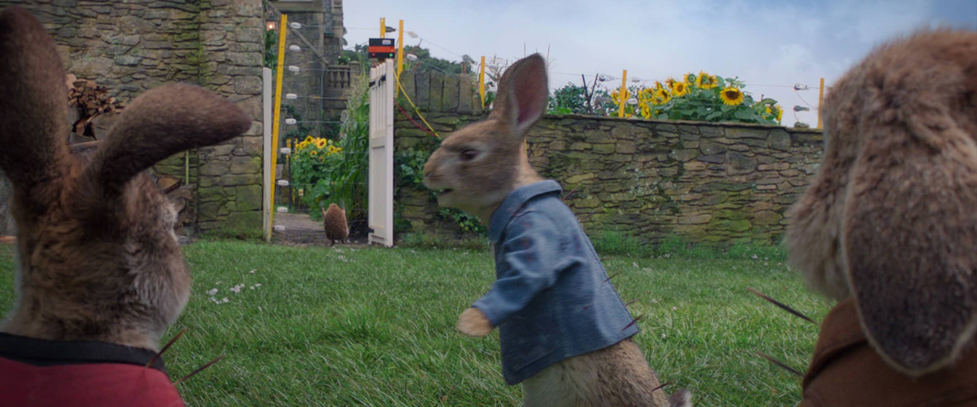 Peter Rabbit (2018) - Animation Screencaps.com