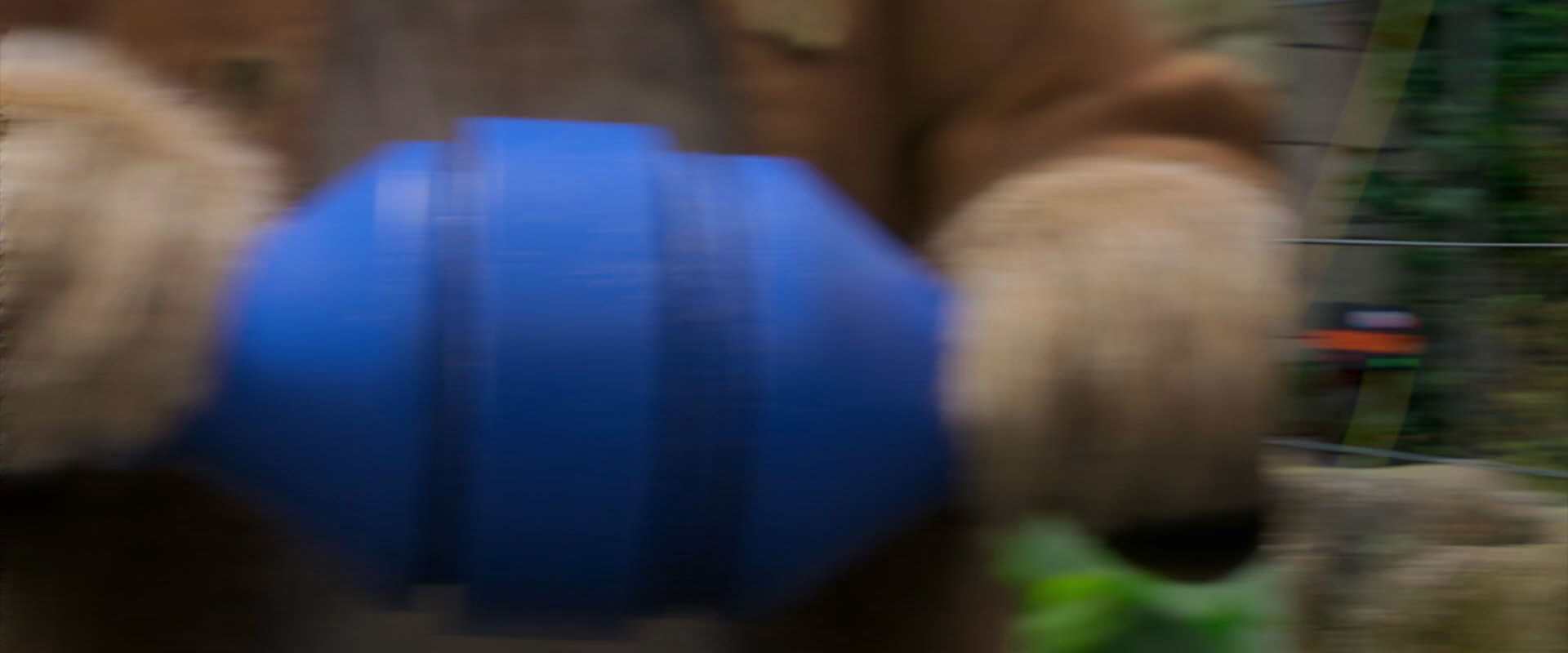 Peter Rabbit (2018) - Animation Screencaps.com