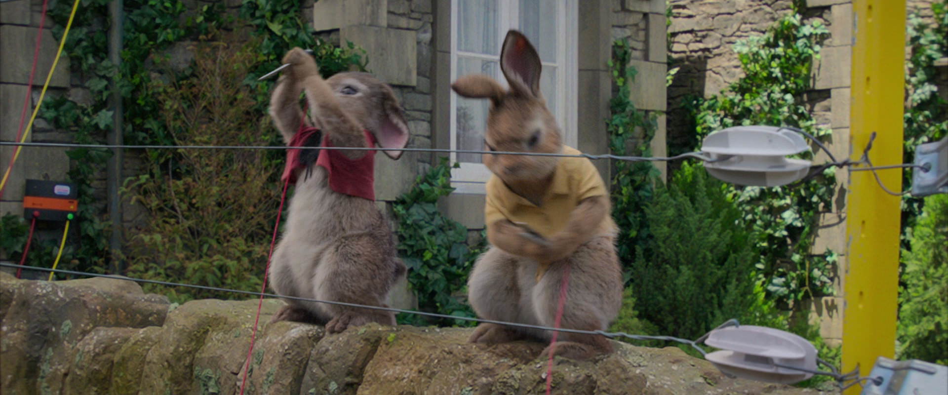 Peter Rabbit (2018) - Animation Screencaps.com