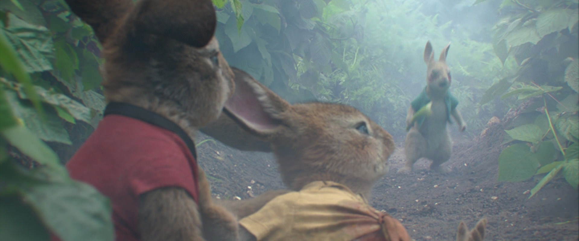 Peter Rabbit (2018) - Animation Screencaps.com