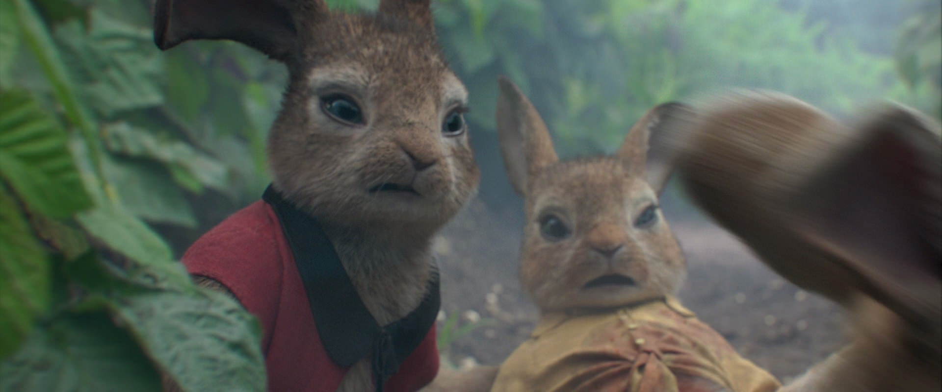 Peter Rabbit (2018) - Animation Screencaps.com