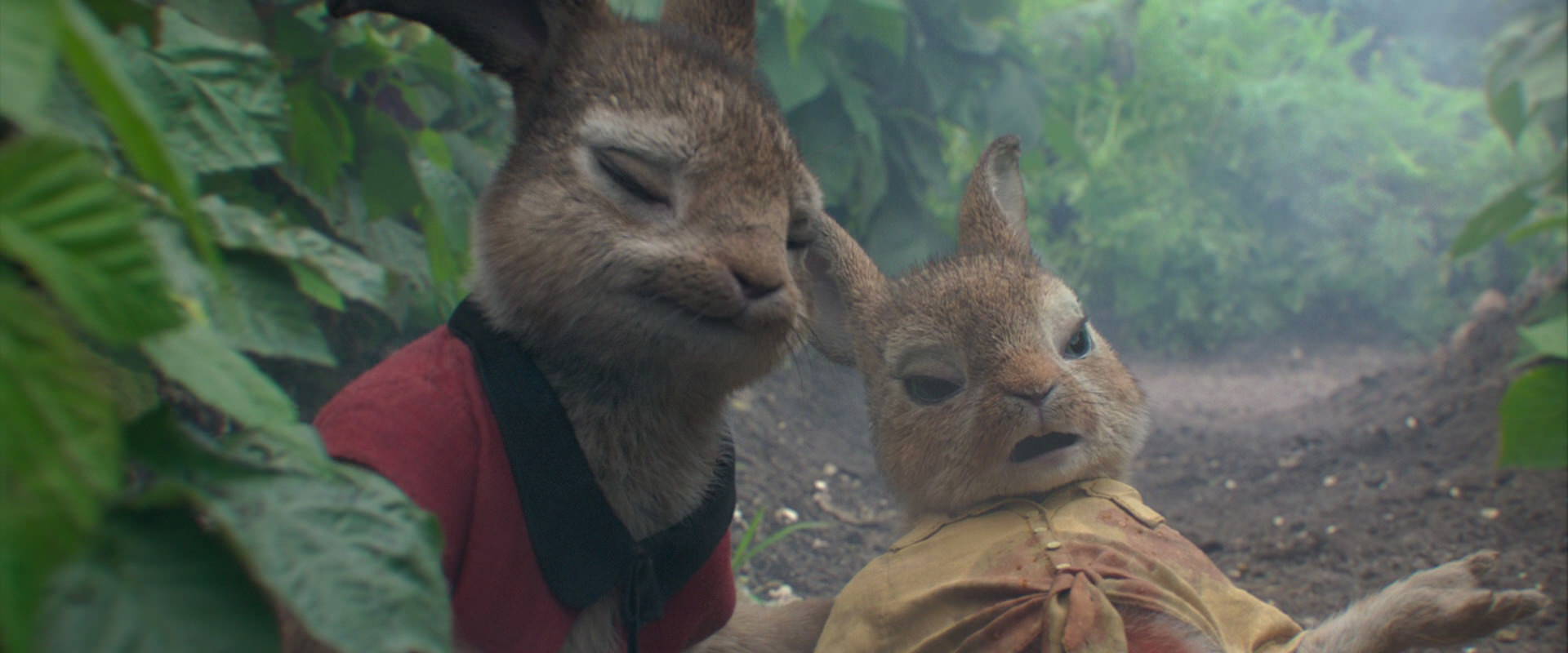 Peter Rabbit (2018) - Animation Screencaps.com