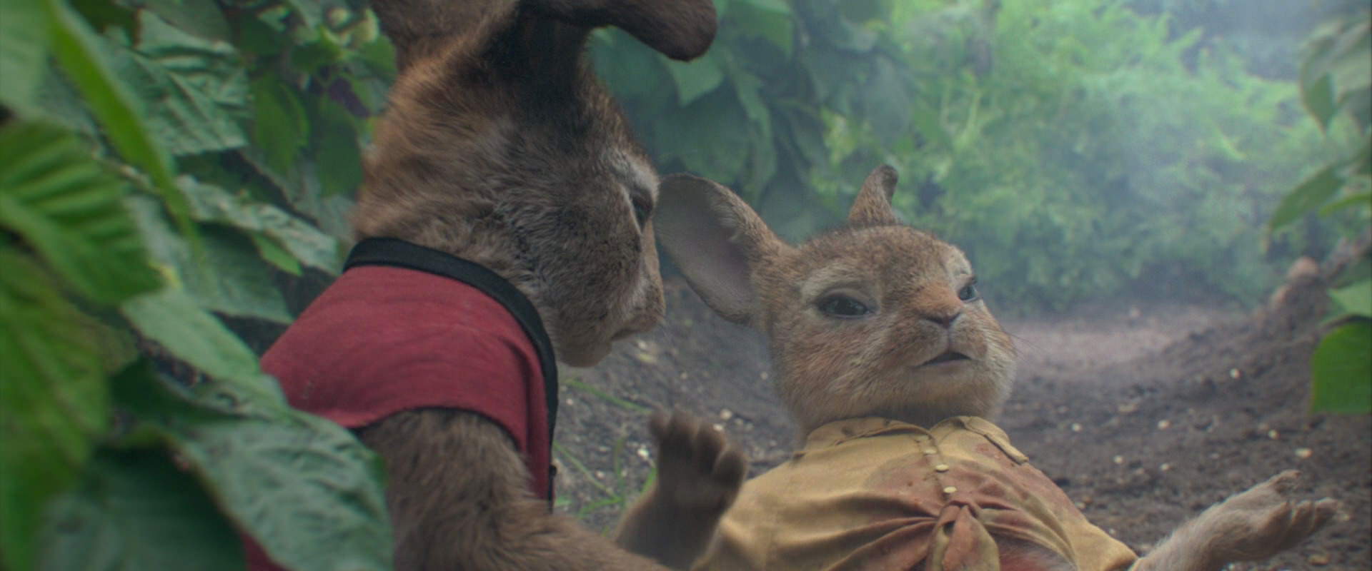 Peter Rabbit (2018) - Animation Screencaps.com
