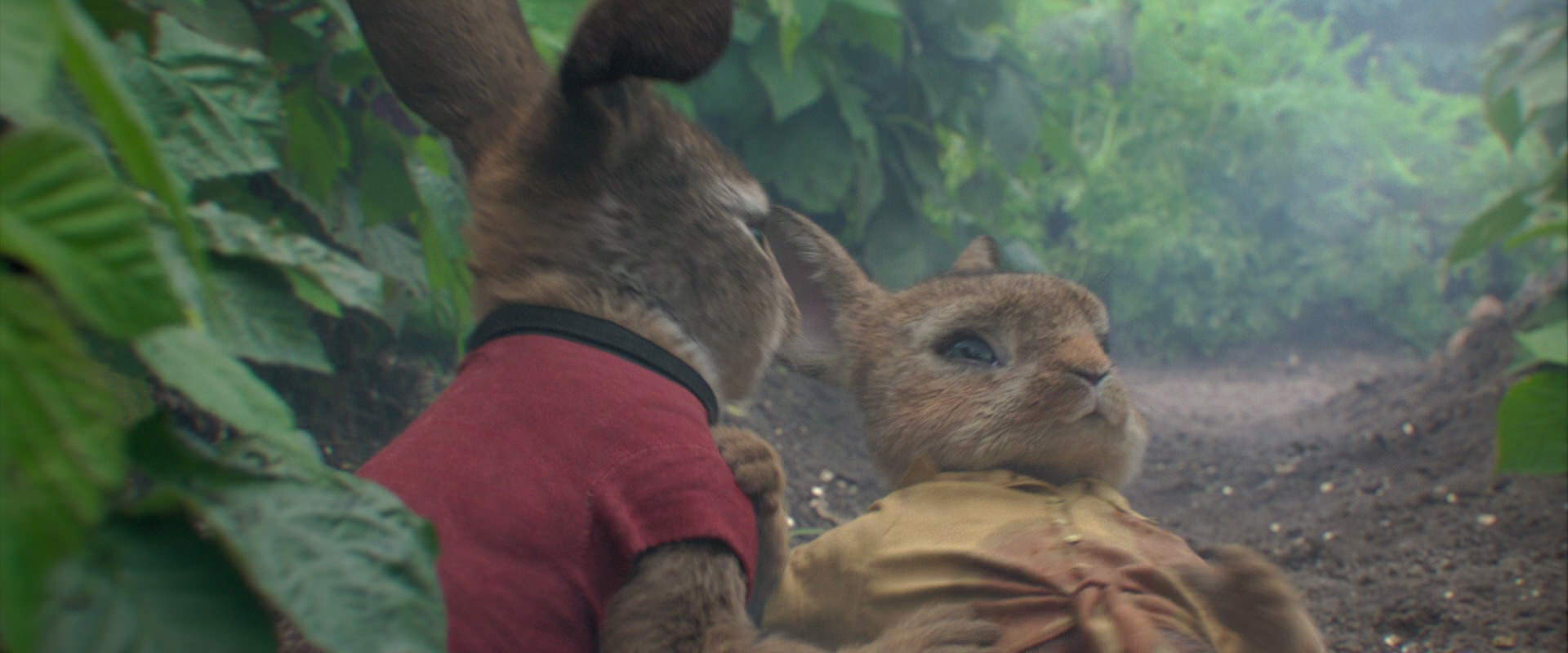 Peter Rabbit (2018) - Animation Screencaps.com