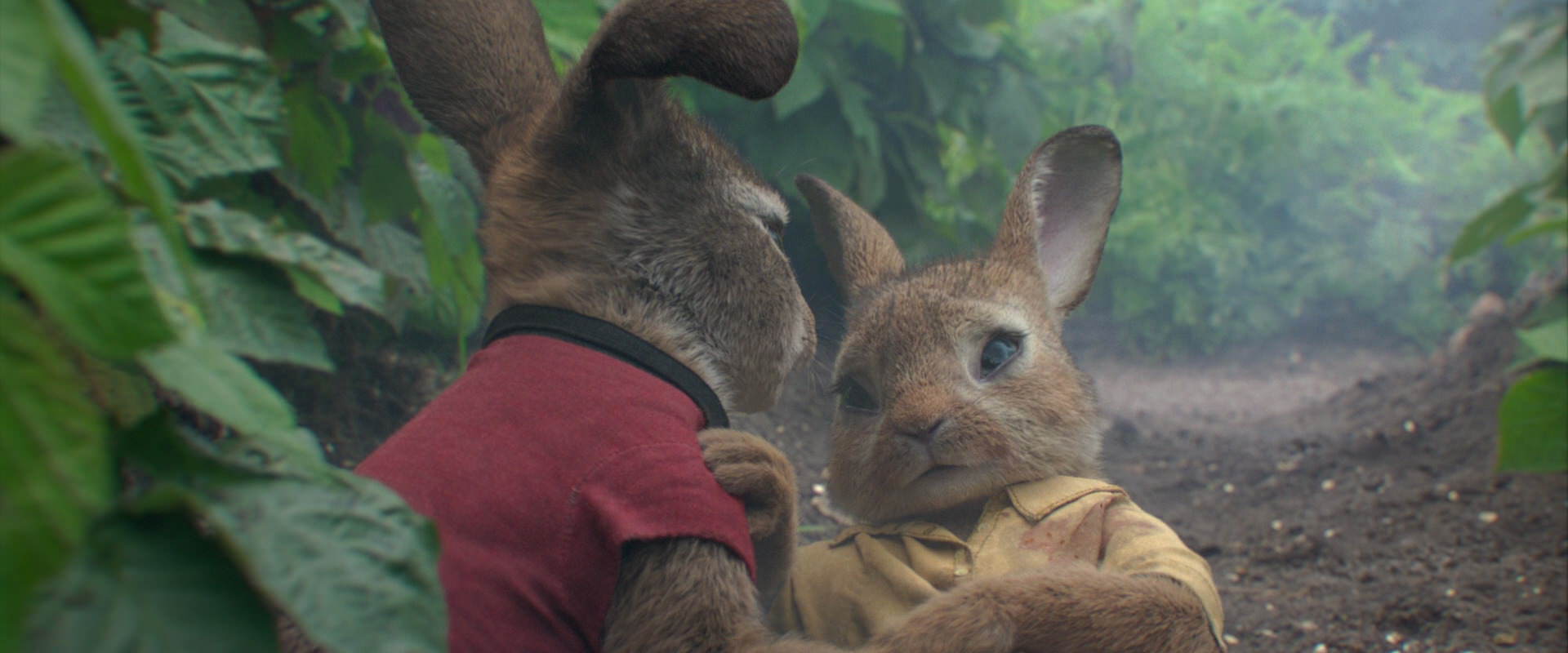 Peter Rabbit (2018) - Animation Screencaps.com