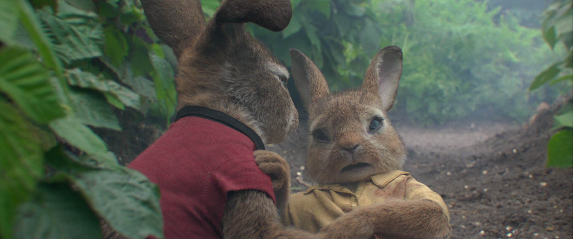 Peter Rabbit (2018) - Animation Screencaps.com