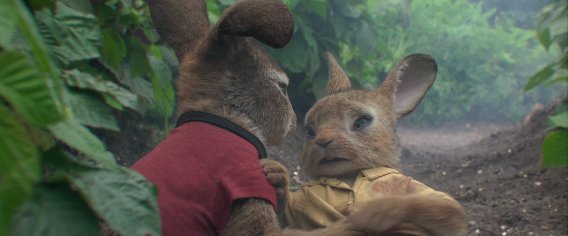 Peter Rabbit (2018) - Animation Screencaps.com