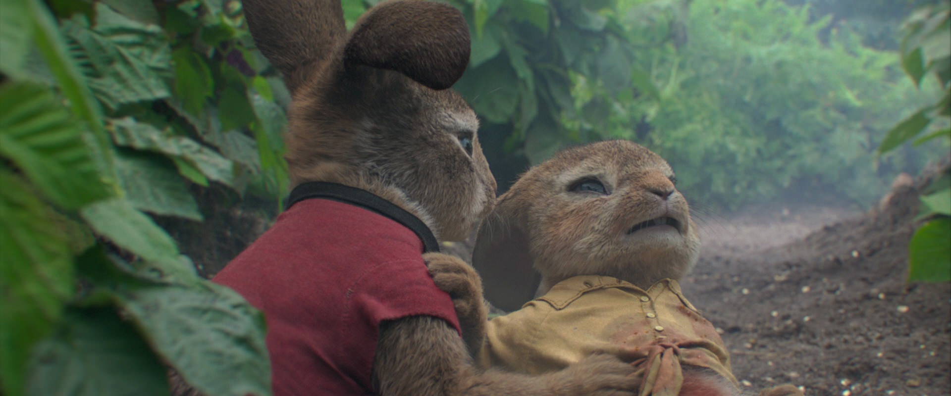 Peter Rabbit (2018) - Animation Screencaps.com