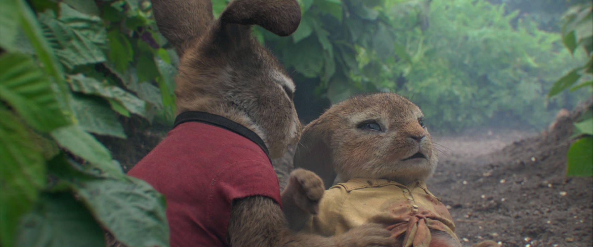 Peter Rabbit (2018) - Animation Screencaps.com