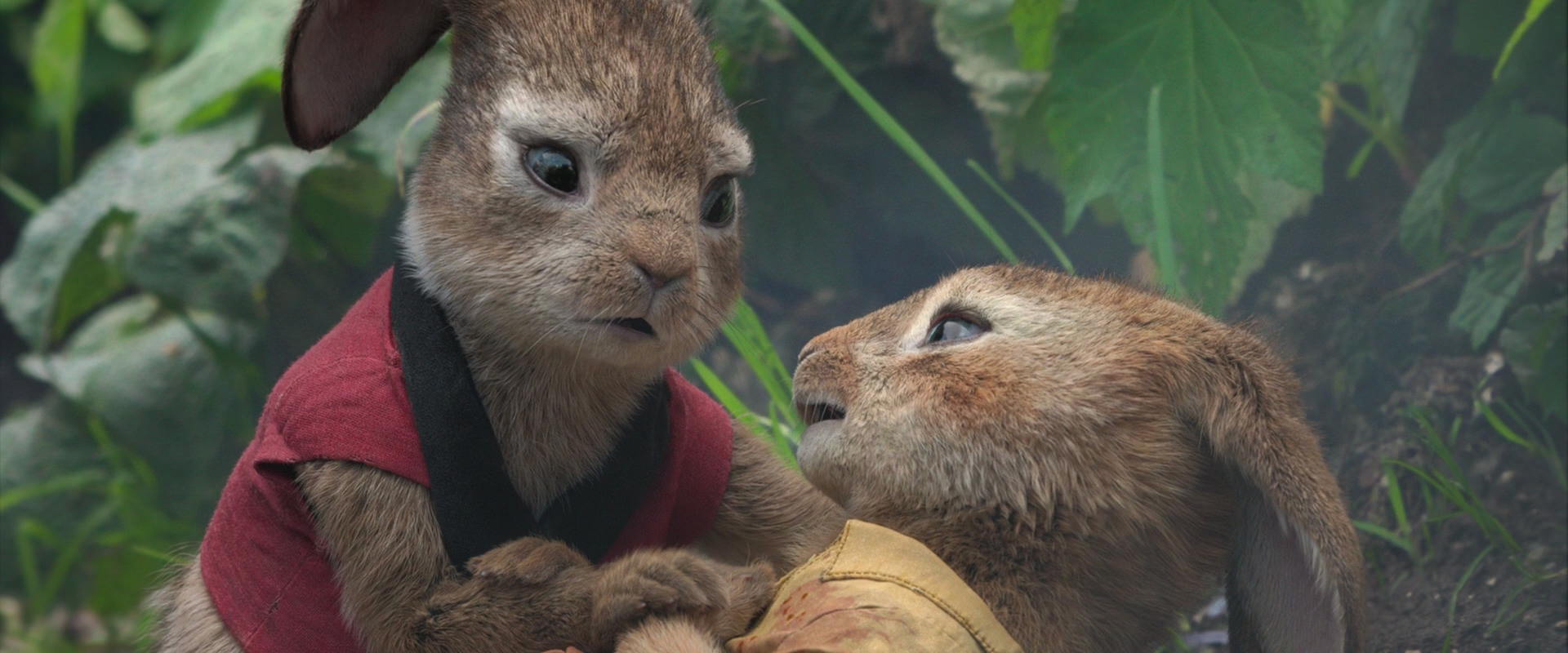 Peter Rabbit (2018) - Animation Screencaps.com