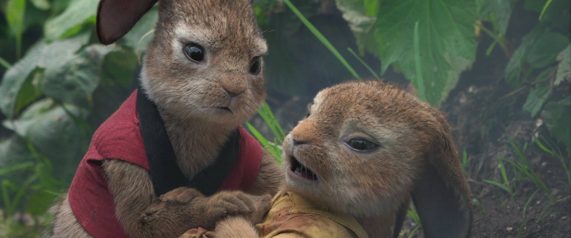 Peter Rabbit (2018) - Animation Screencaps.com