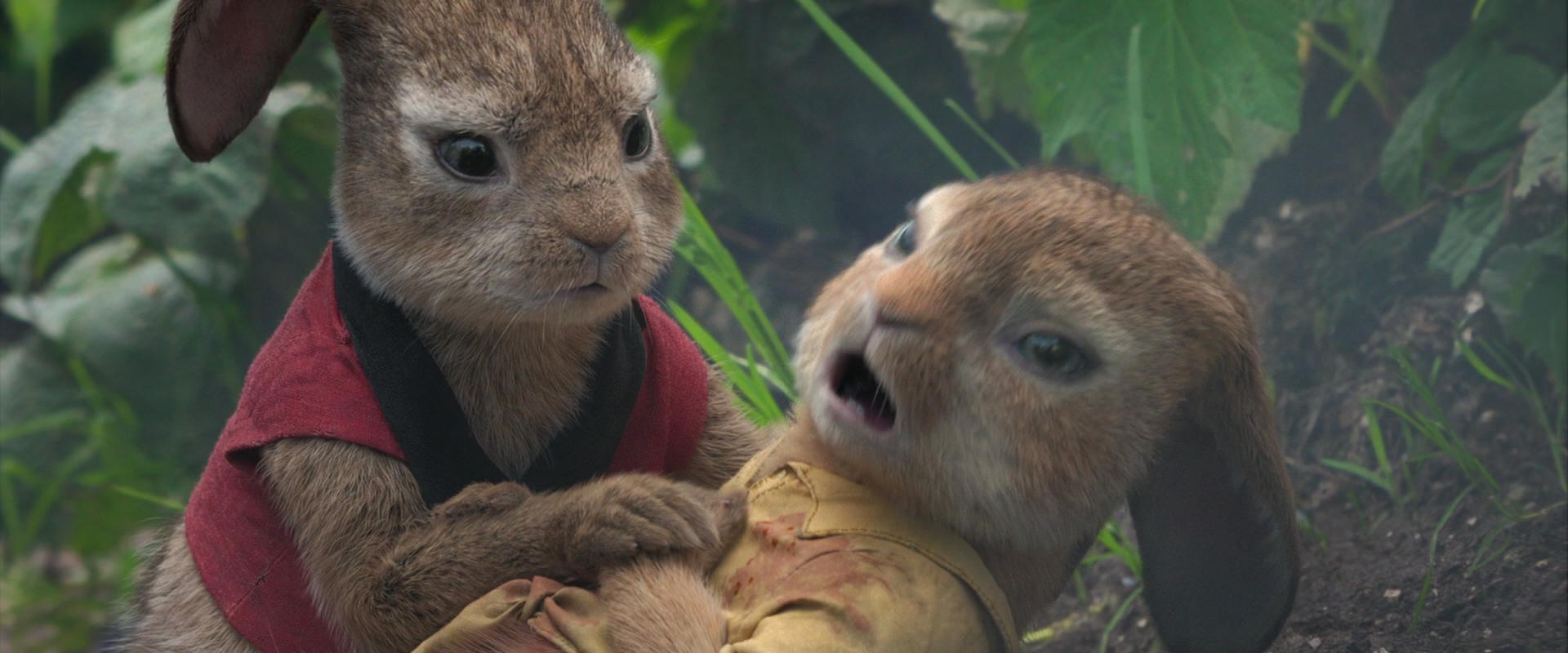 Peter Rabbit (2018) - Animation Screencaps.com