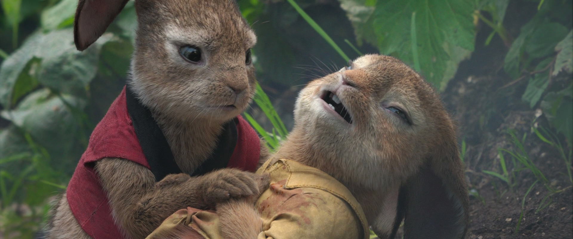 Peter Rabbit (2018) - Animation Screencaps.com