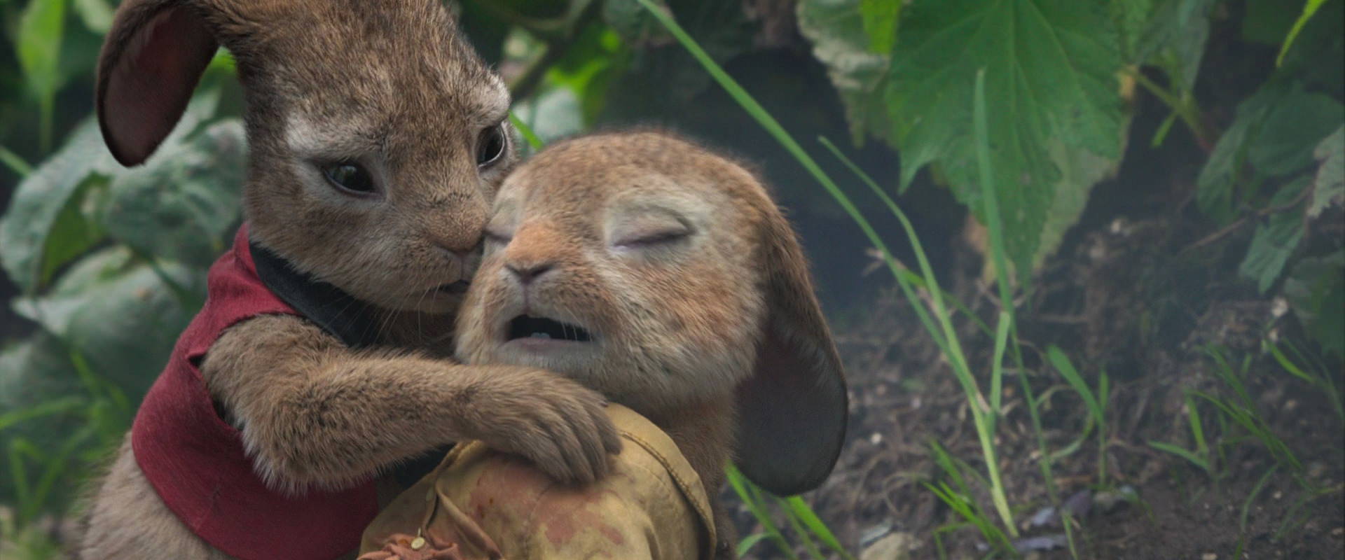 Peter Rabbit (2018) - Animation Screencaps.com