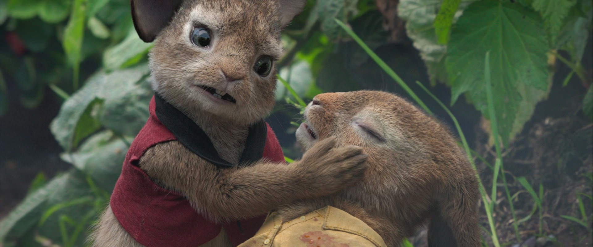 Peter Rabbit (2018) - Animation Screencaps.com