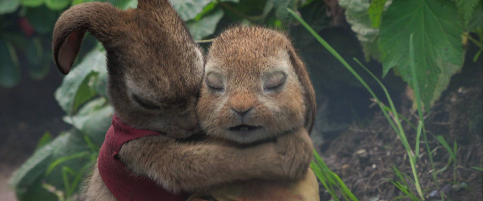 Peter Rabbit (2018) - Animation Screencaps.com