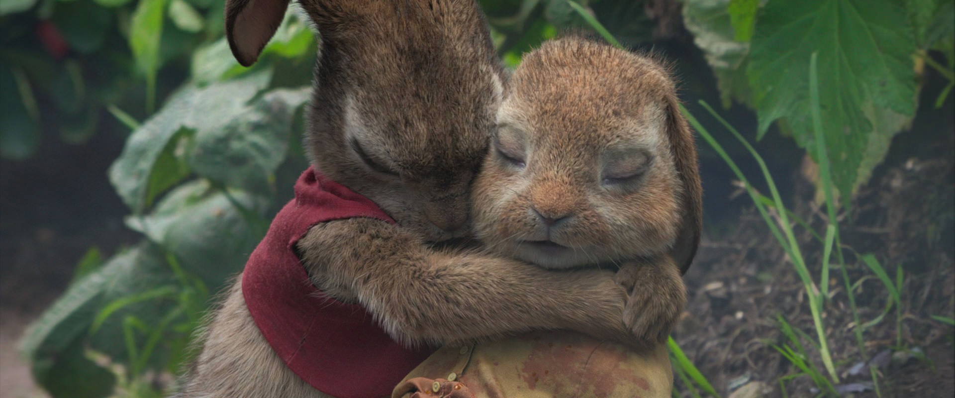 Peter Rabbit (2018) - Animation Screencaps.com