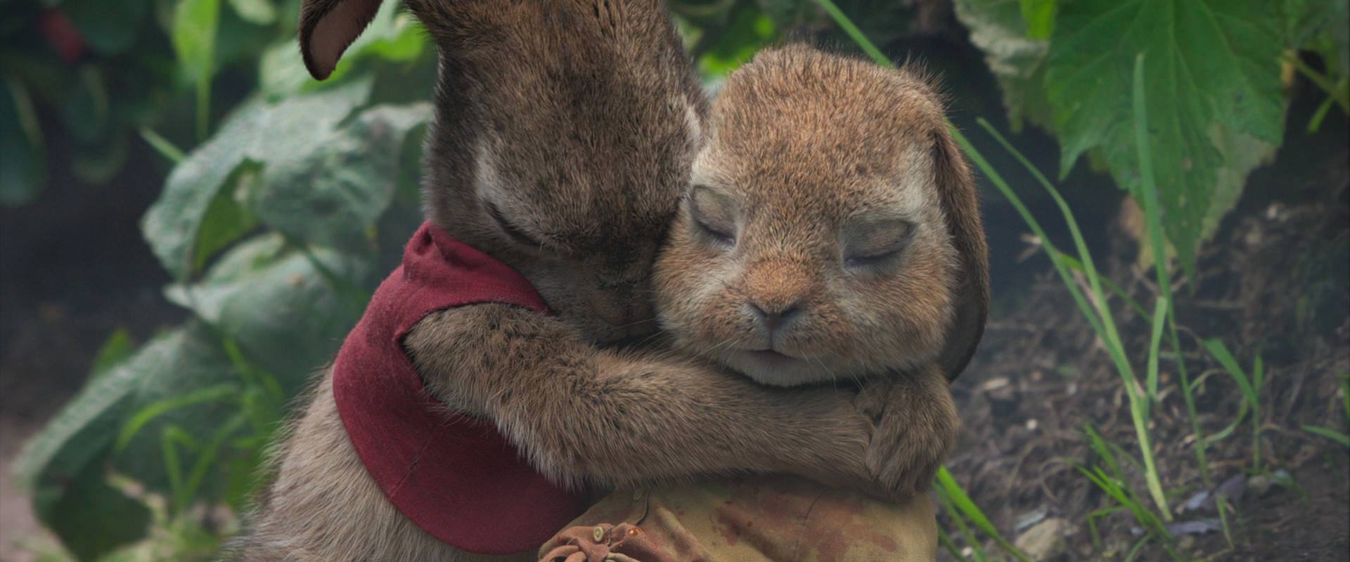 Peter Rabbit (2018) - Animation Screencaps.com