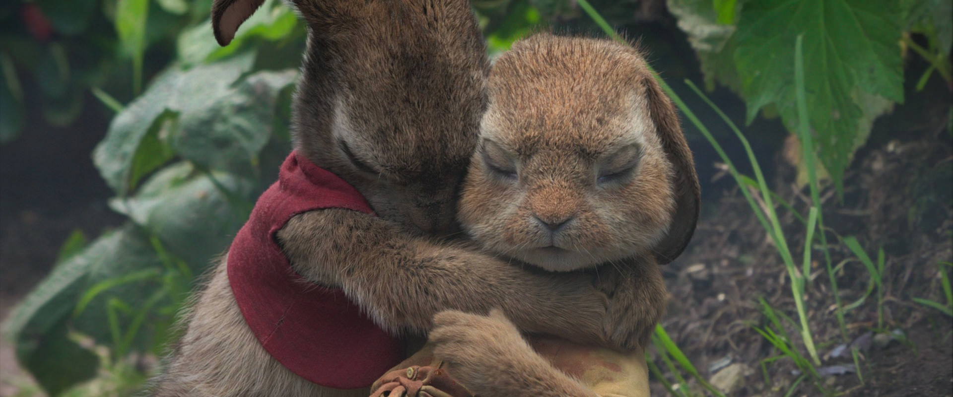 Peter Rabbit (2018) - Animation Screencaps.com