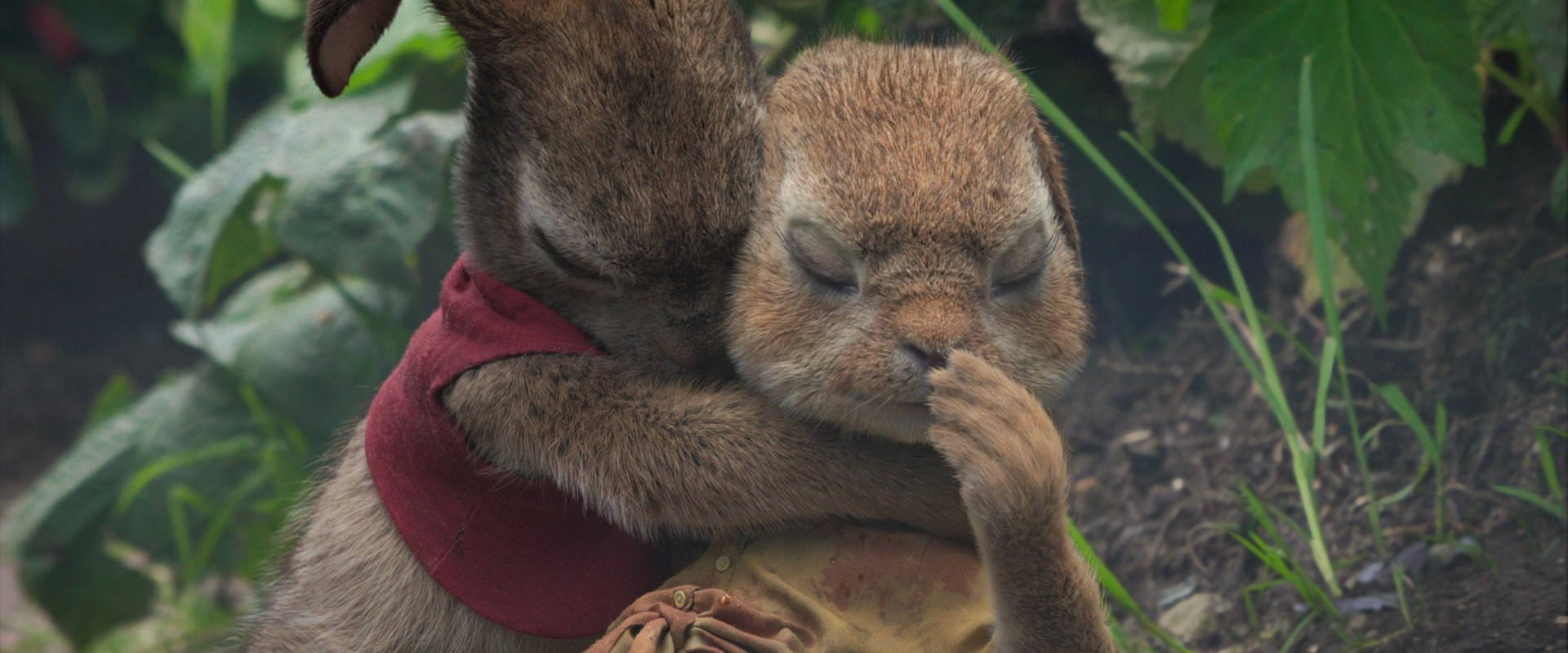 Peter Rabbit (2018) - Animation Screencaps.com