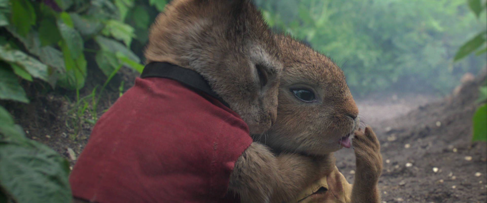 Peter Rabbit (2018) - Animation Screencaps.com