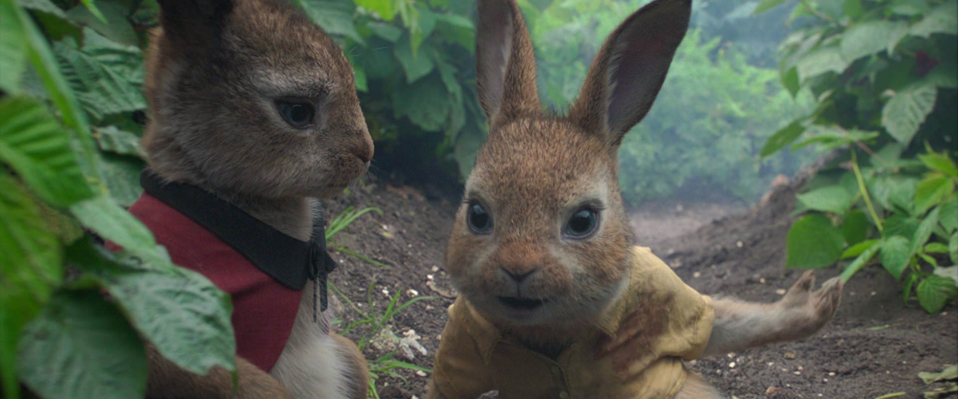 Peter Rabbit (2018) - Animation Screencaps.com