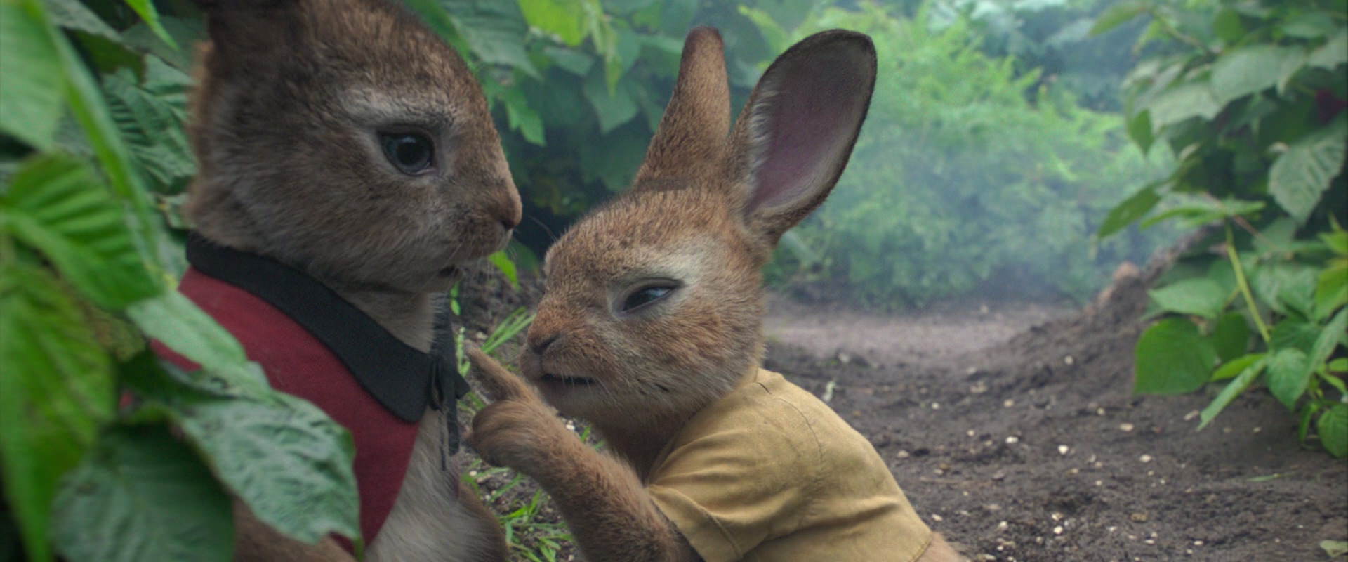 Peter Rabbit (2018) - Animation Screencaps.com