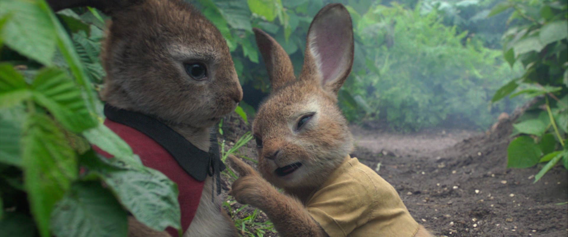 Peter Rabbit (2018) - Animation Screencaps.com