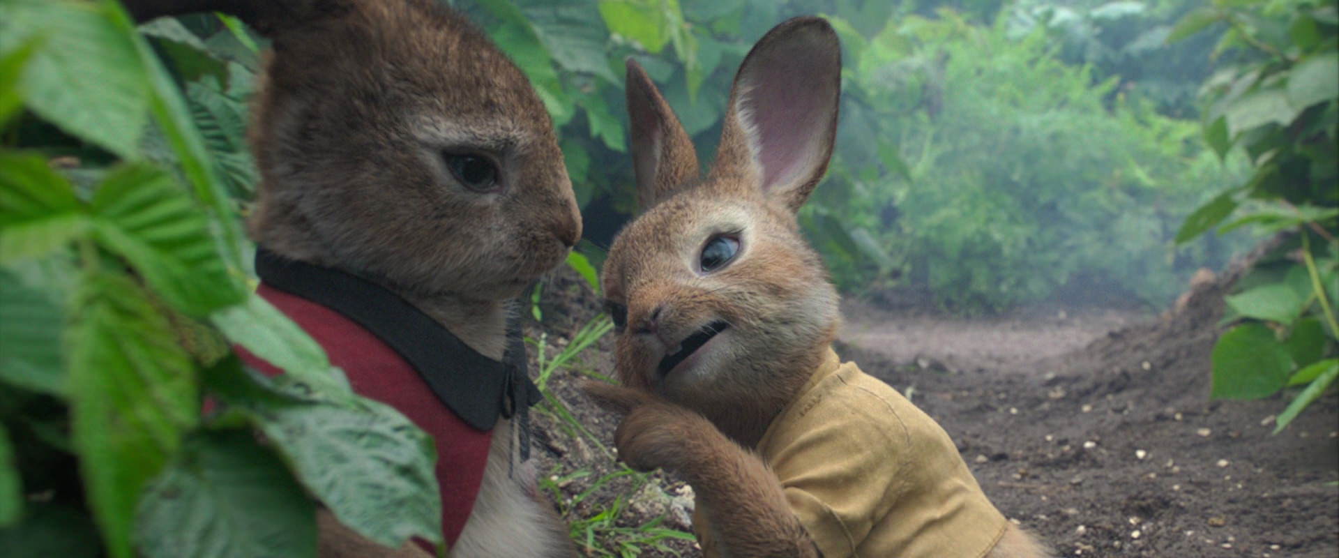 Peter Rabbit (2018) - Animation Screencaps.com