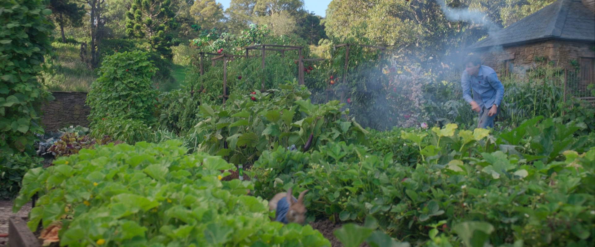 Peter Rabbit (2018) - Animation Screencaps.com